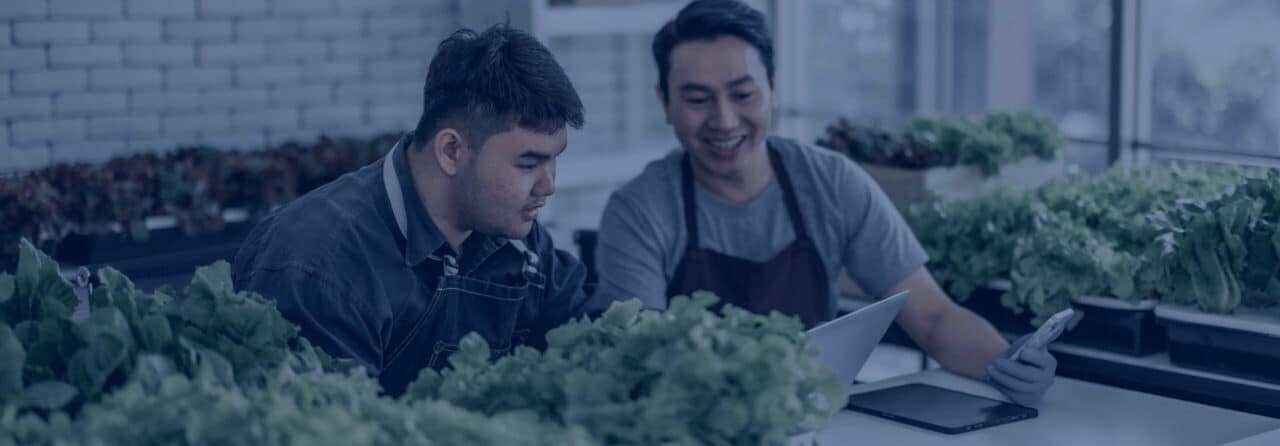 La importancia de la diversificación de ingresos en la incertidumbre ...